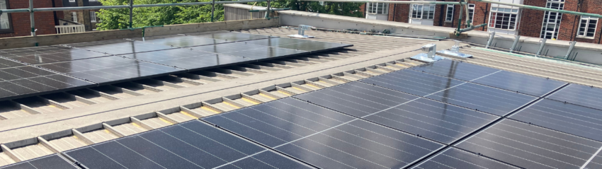 What's on this London Climate Action Week? - Camden Climate Alliance